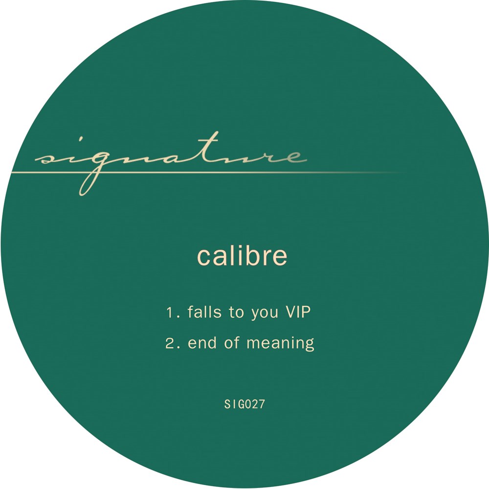 Calibre - Falls To You VIP / End of Meaning